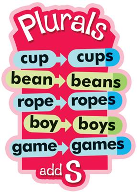 Learning plurals with examples - eAge Tutor